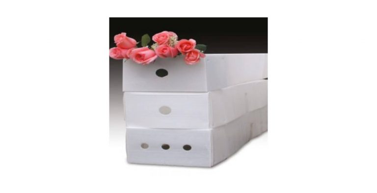 Cartonplast material resiste la humedad - Tonicomsa S.A.